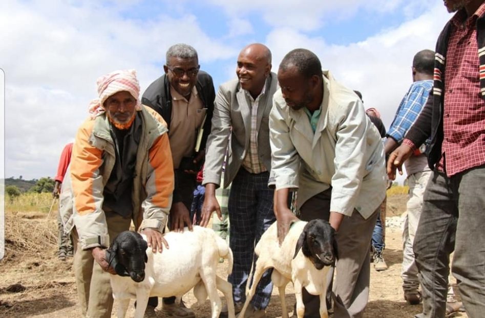 December 2021 – Haramaya University