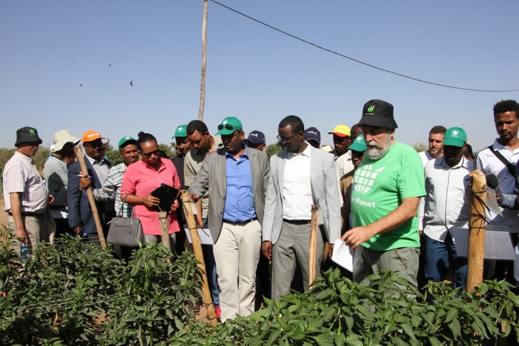 Fair Planet organizes an Annual Open Day in Dire Dawa Tony Farm ...