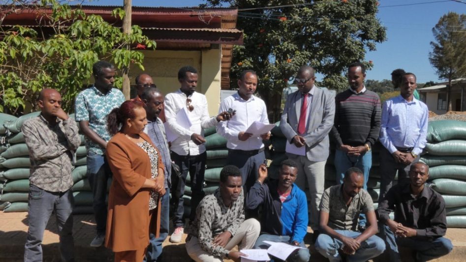 Haramaya University Provides Improved Wheat Seeds to Farmers – Haramaya ...