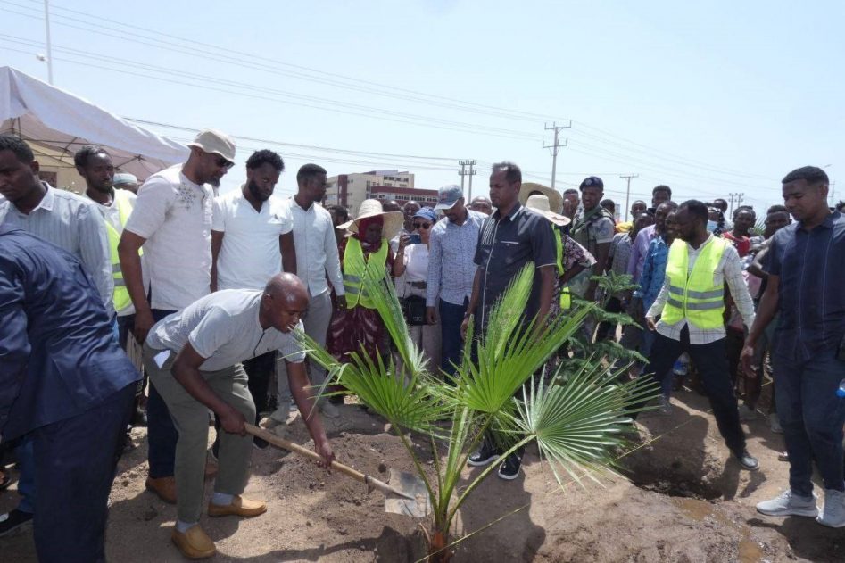 Dire Dawa Launches SUNCASA Urban Tree Planting Program – Haramaya ...